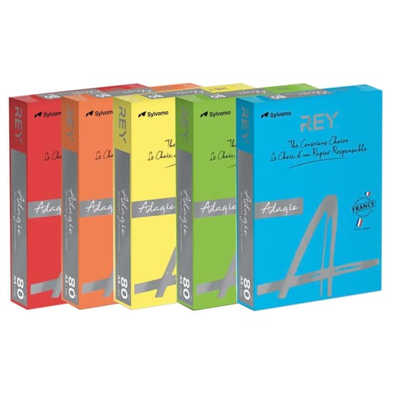 A4 Rey Adagio Copier Paper, Strong/Intensive Shades Assortment, Case of ...