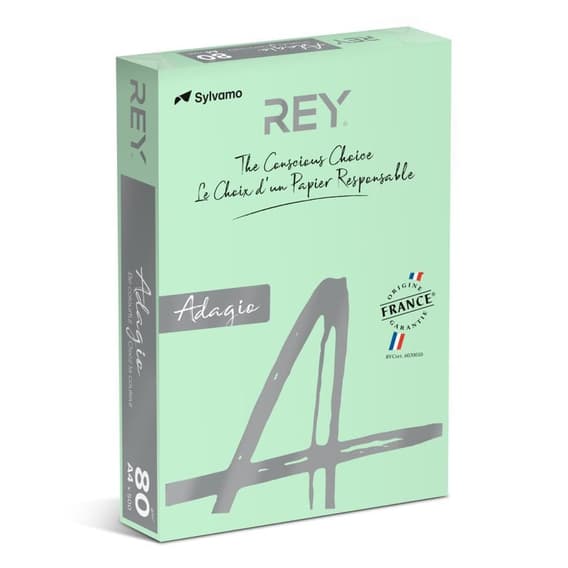 A4 Rey Adagio Copier Paper 80gsm Green - 2500 Sheets | A4 Printer ...